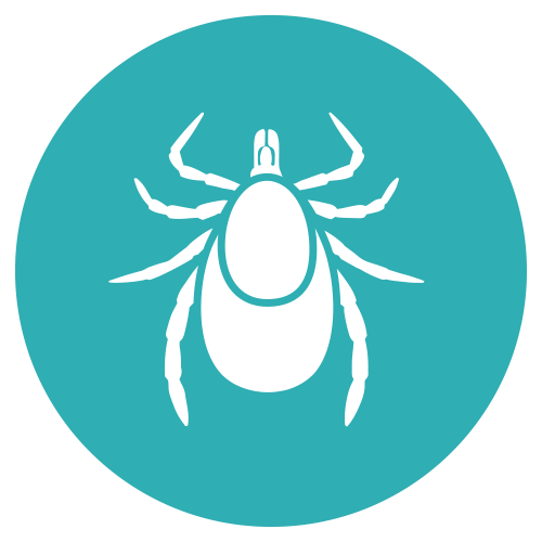 Ectoparasites & vectors Archives - Invenesis: Swiss Bioscience Company